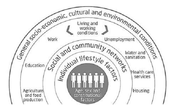 Social Determinants of Health Model Pic 600 - Amac Training